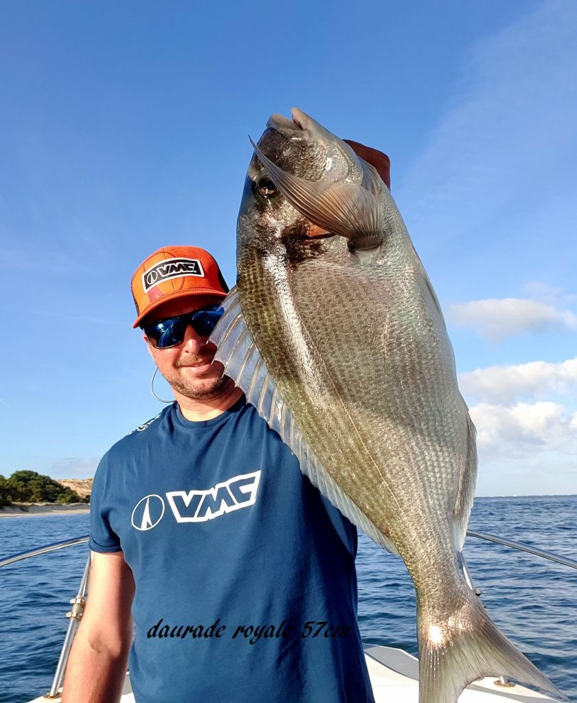 Pêche de la Daurade Royale à Arcachon – Techniques, astuces & Spots