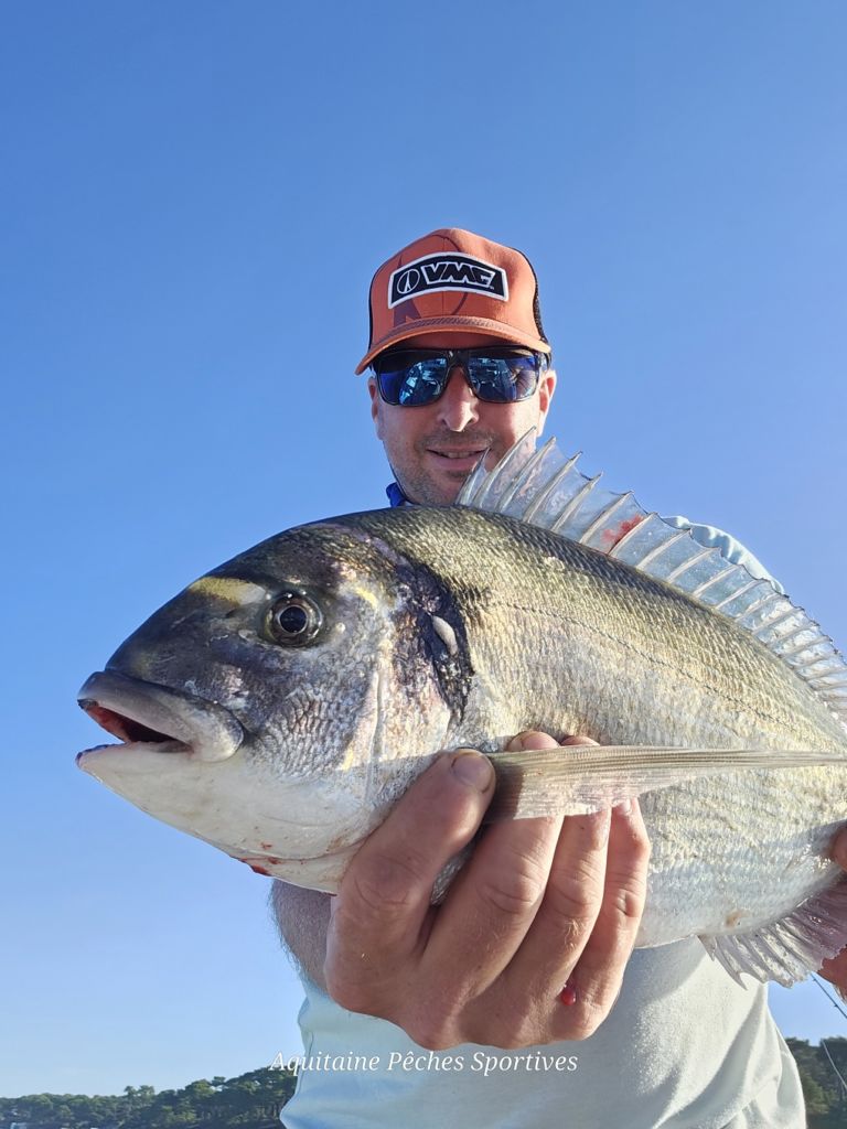 Pêche de la Daurade Royale à Arcachon – Techniques, astuces & Spots